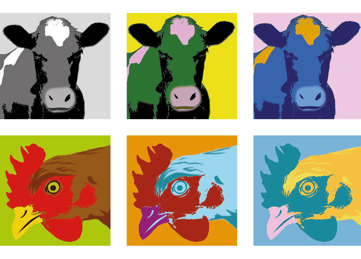 Not for profit marketing - RSPCA Freedom Food